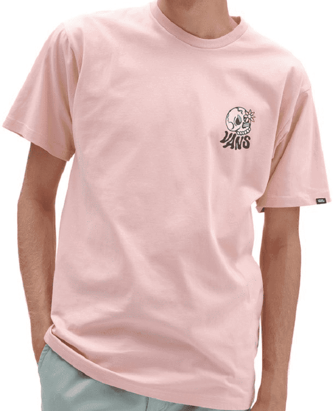 VANS SKULL DAZE (VN0A7MKYTK) - Mellow Rose