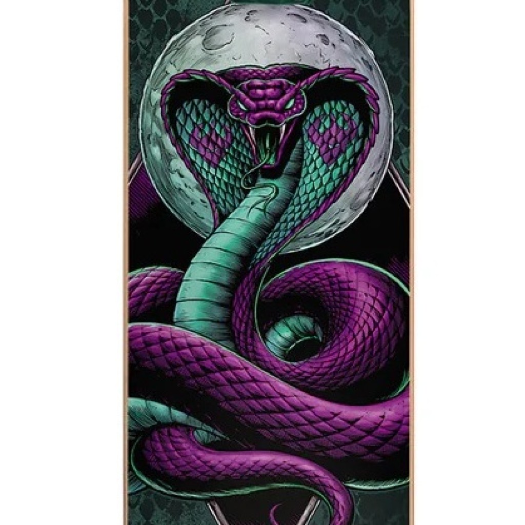 SKATE DARKSTAR SNAKE 8.0" - Aqua | Online